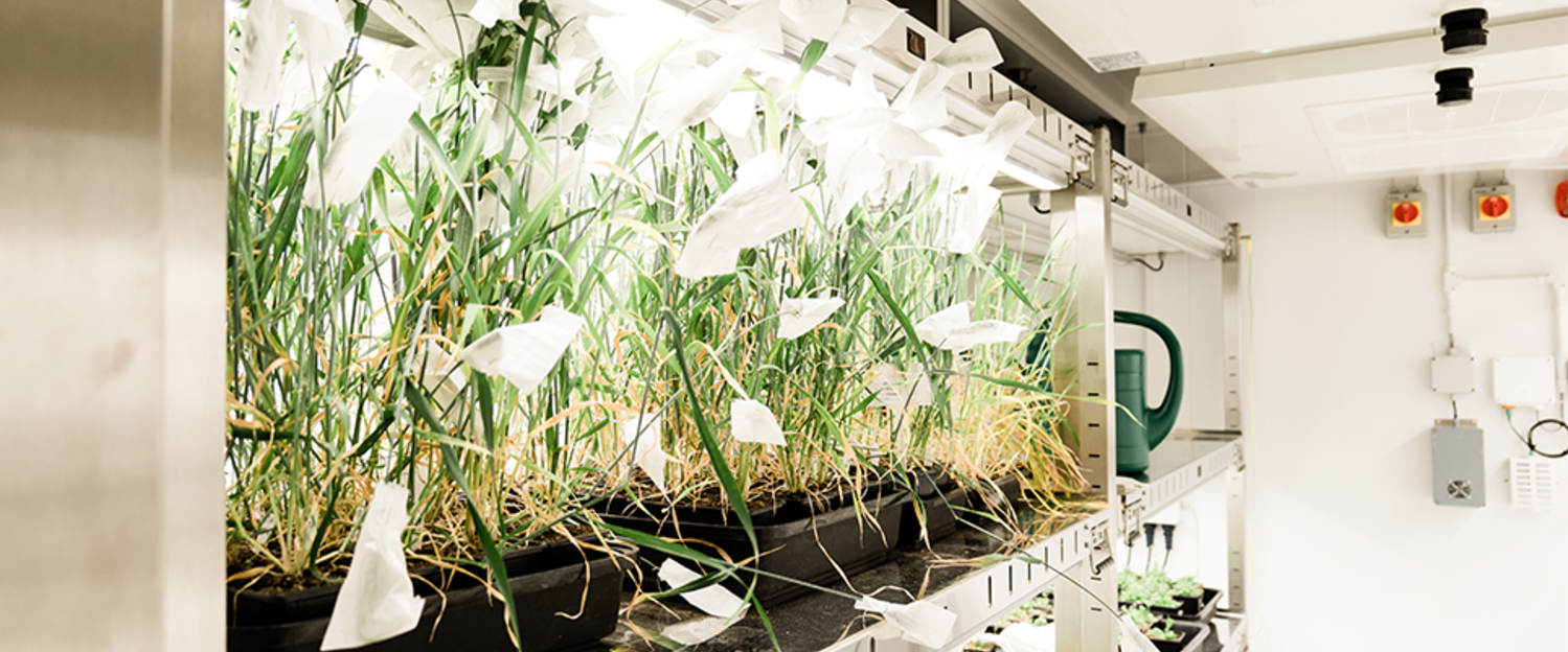 Weiss Technik Installs Walk-In Plant Rooms at University of Leeds ...